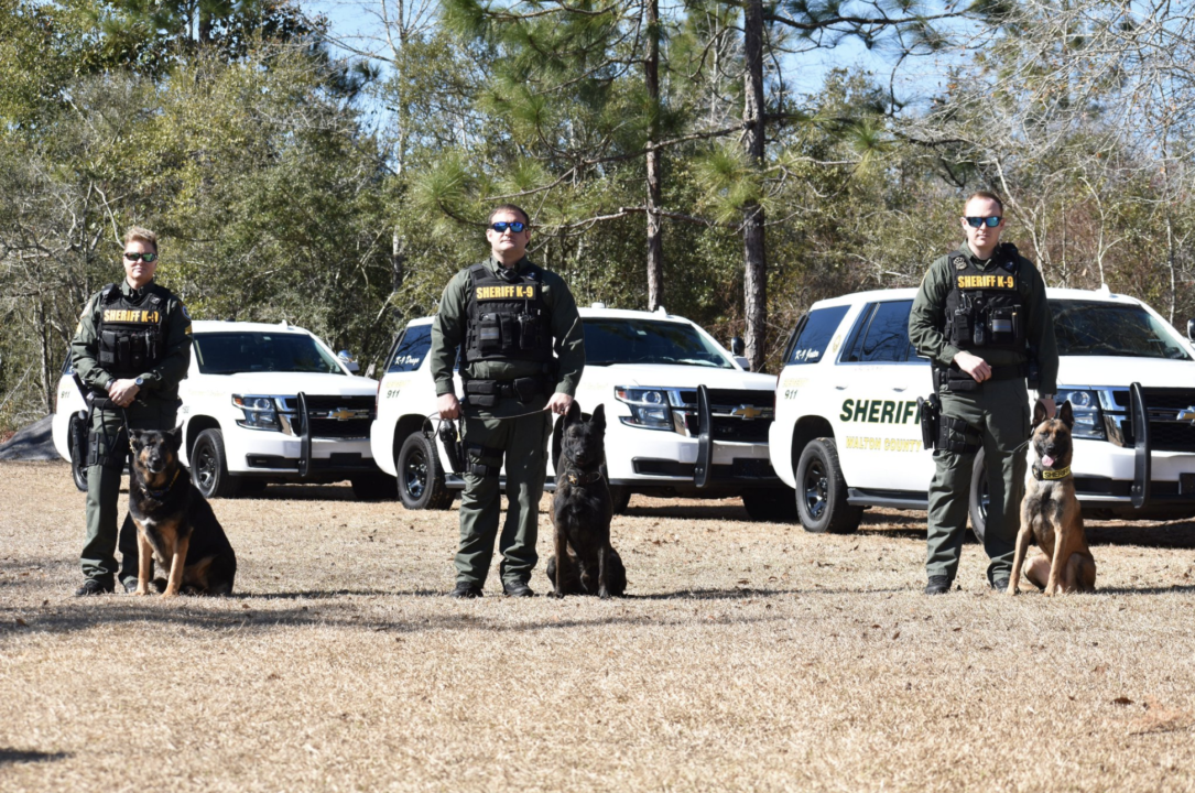 K9 JESTER JOINS REVAMPED WCSO K9 TEAM | Walton County Sheriff's Office ...