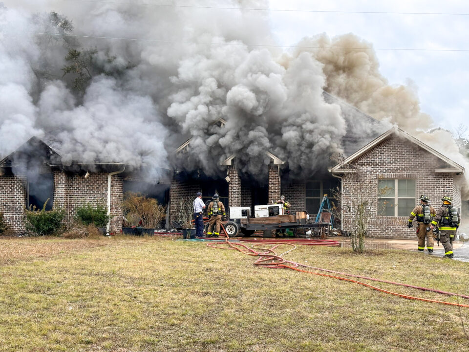 FIREFIGHTERS’ QUICK RESPONSE SAVES FAMILY DOGS TRAPPED INSIDE MOSSY ...